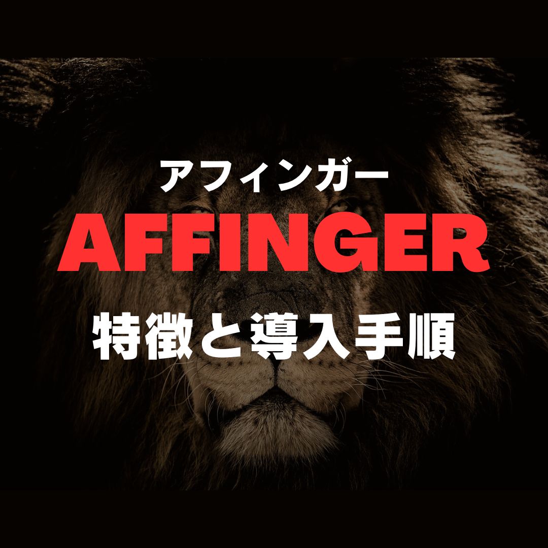 AFFINGER(アフィンガー)の特徴と導入3ステップを解説 - web3.0 こひまめブログ